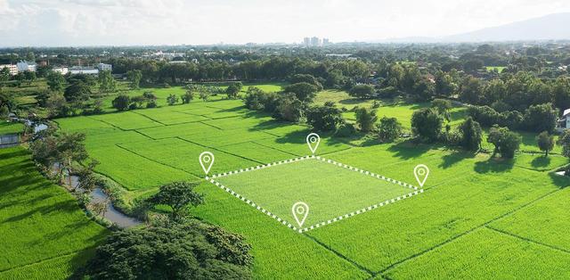 Berapa Harga Tanah 1 Hektar? Ini Penjelasannya - Sinar Mas Land