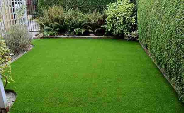 9 Jenis Rumput Taman Cantik yang Bikin Halaman Makin Asri - Sinar Mas Land