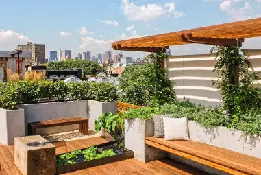 Ini Dia Rekomendasi Tanaman Untuk Rooftop Agar Lebih Cantik