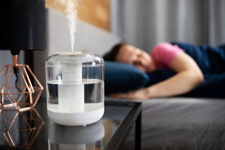 Kerap Tertukar, ini Perbedaan Humidifier, Diffuser, Dehumidifier dan ...